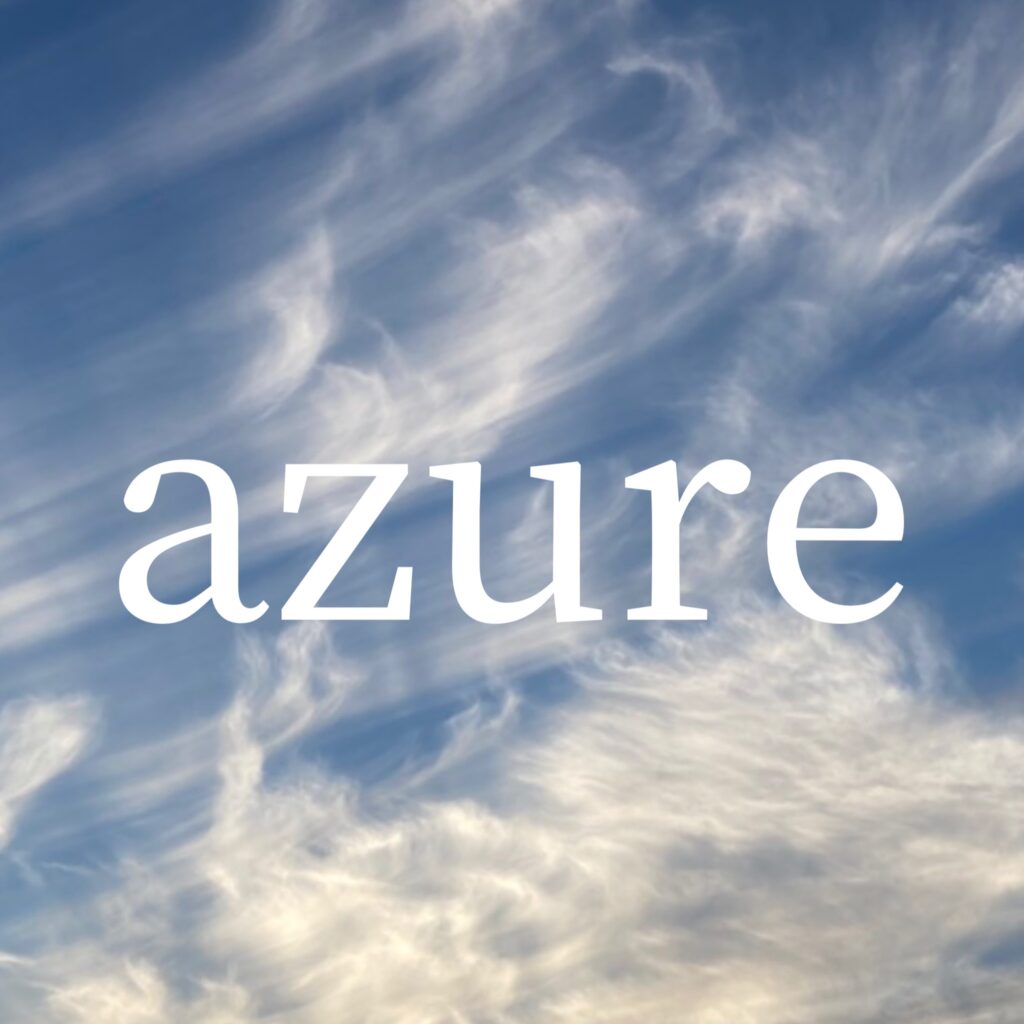 映像審査アーティスト – 十代白書